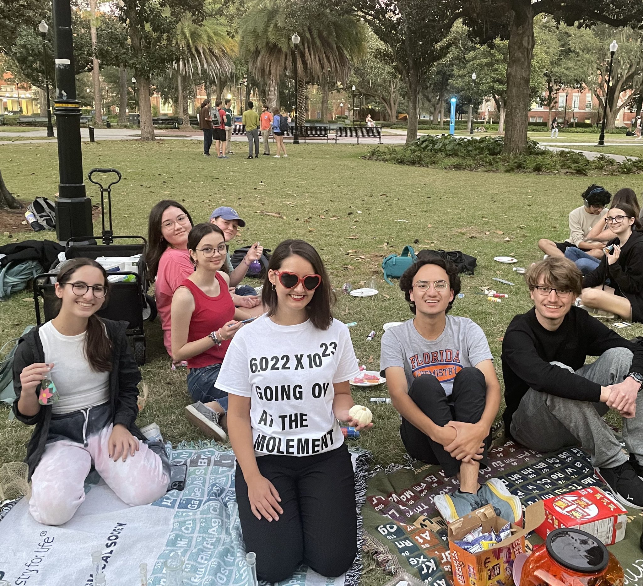 Chemistry Club at the University of Florida – Student Chapter of the ...